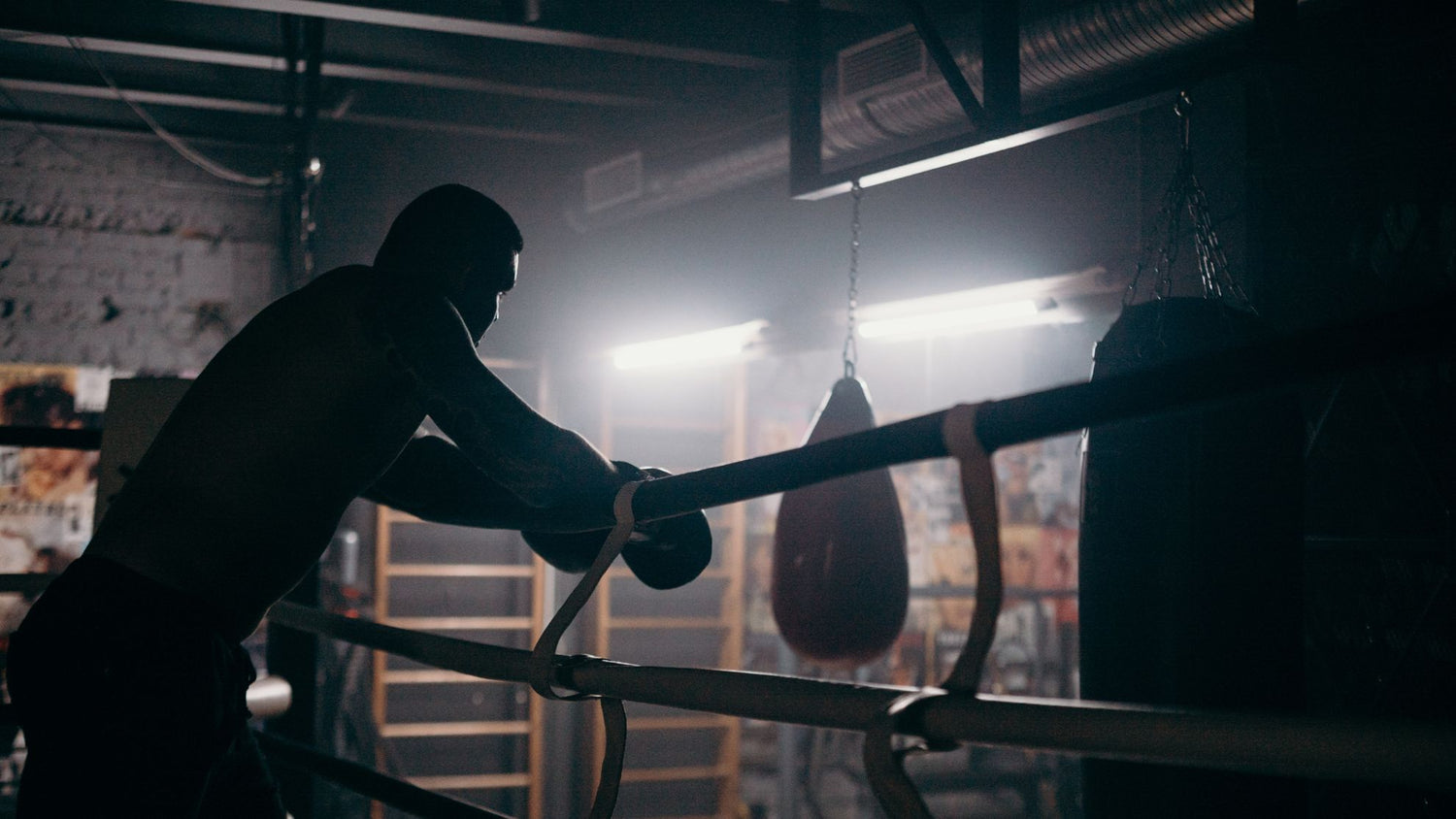 Tiger Series Boxing Gear and Fitness Apparel Store – Tiger Pro Shop